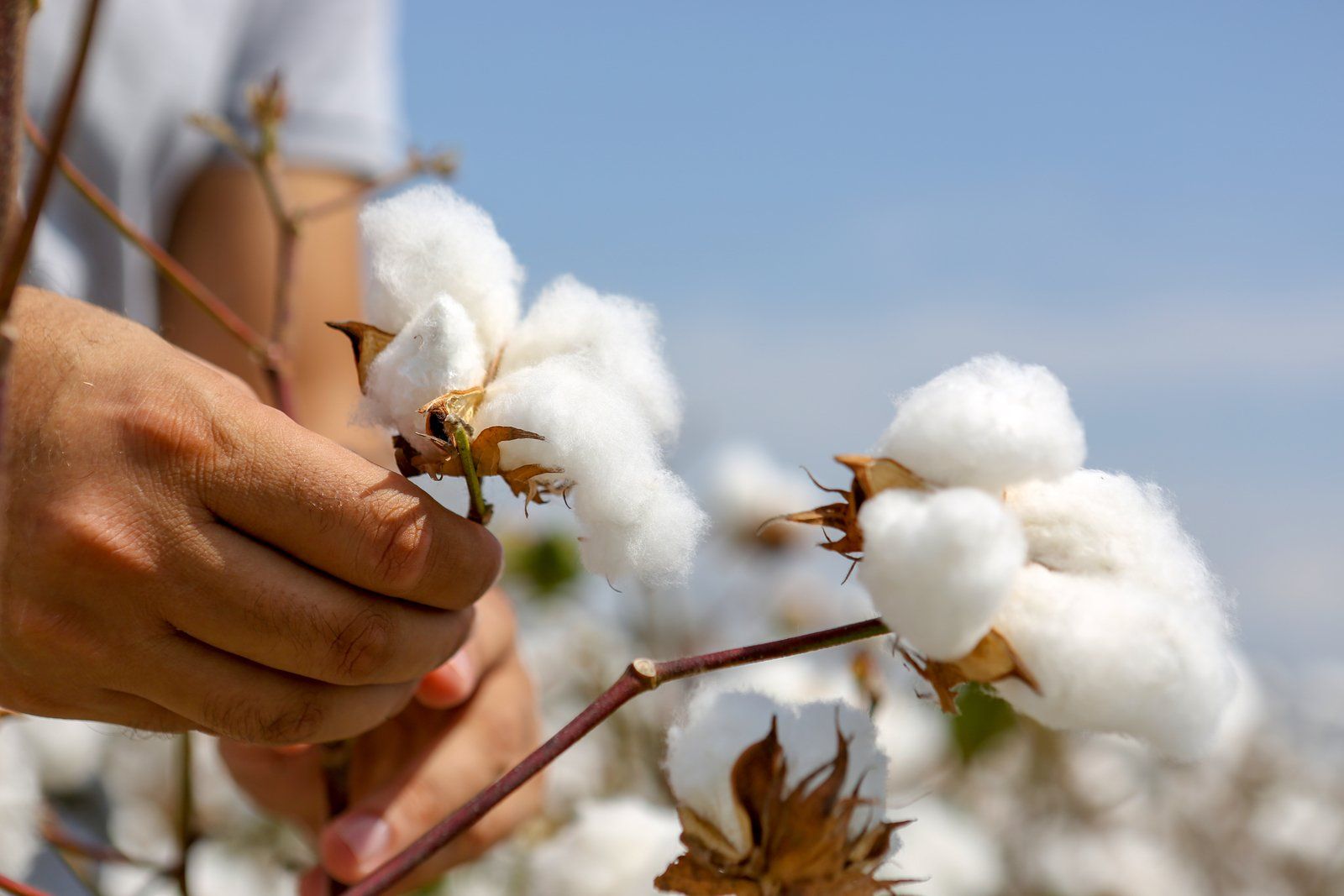 HydroCalc 3.0: Irrigation hydraulic calculation tool | Netafim