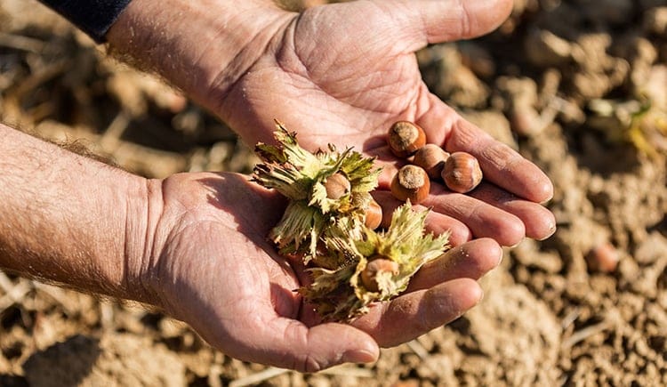 HydroCalc 3.0: Irrigation hydraulic calculation tool | Netafim