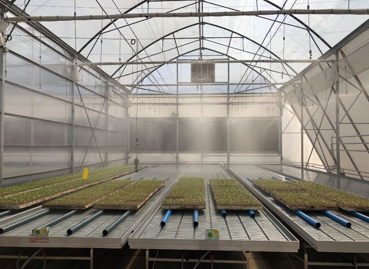 Greenhouse technology | Netafim