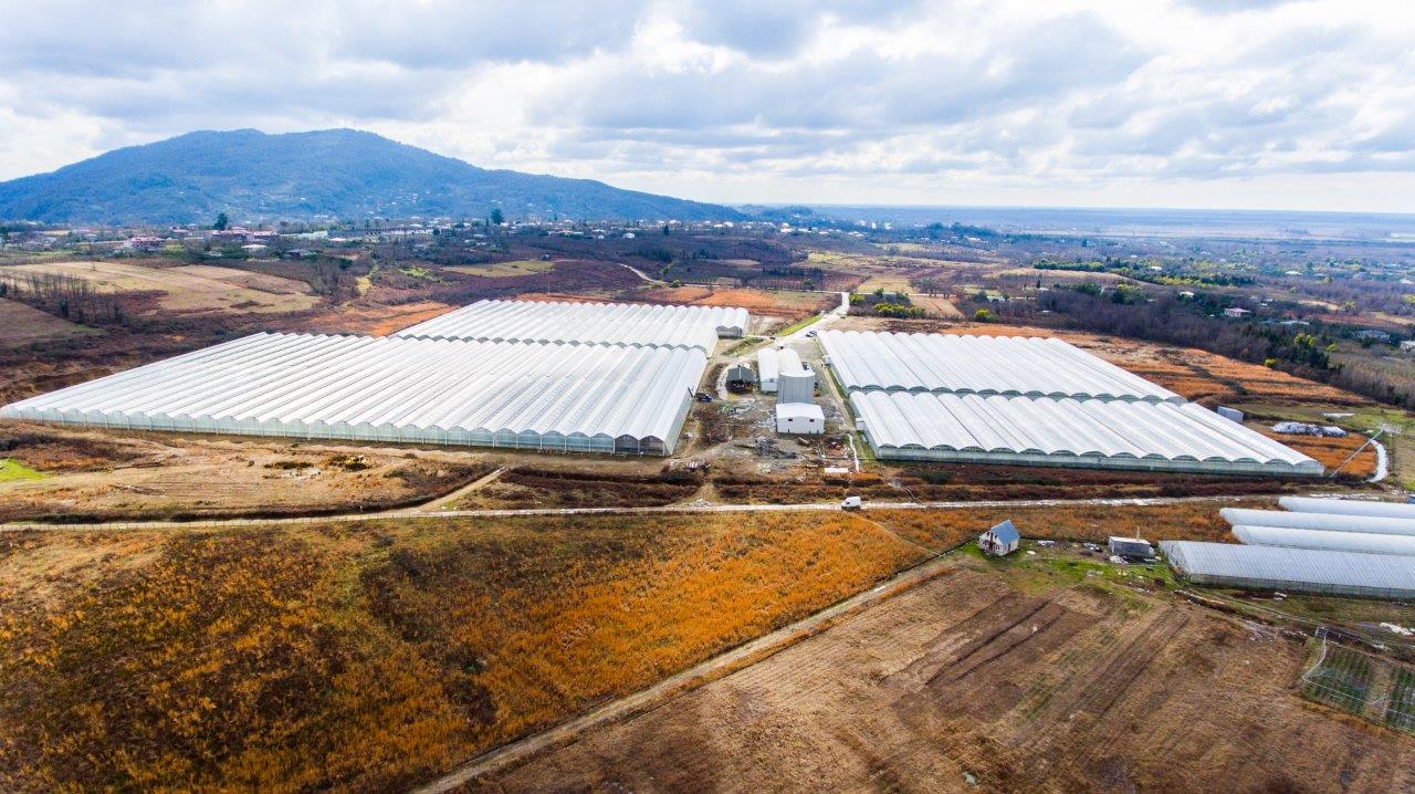 Greenhouse Project management | Netafim