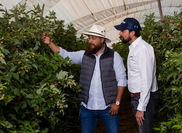 Greenhouse Project management | Netafim