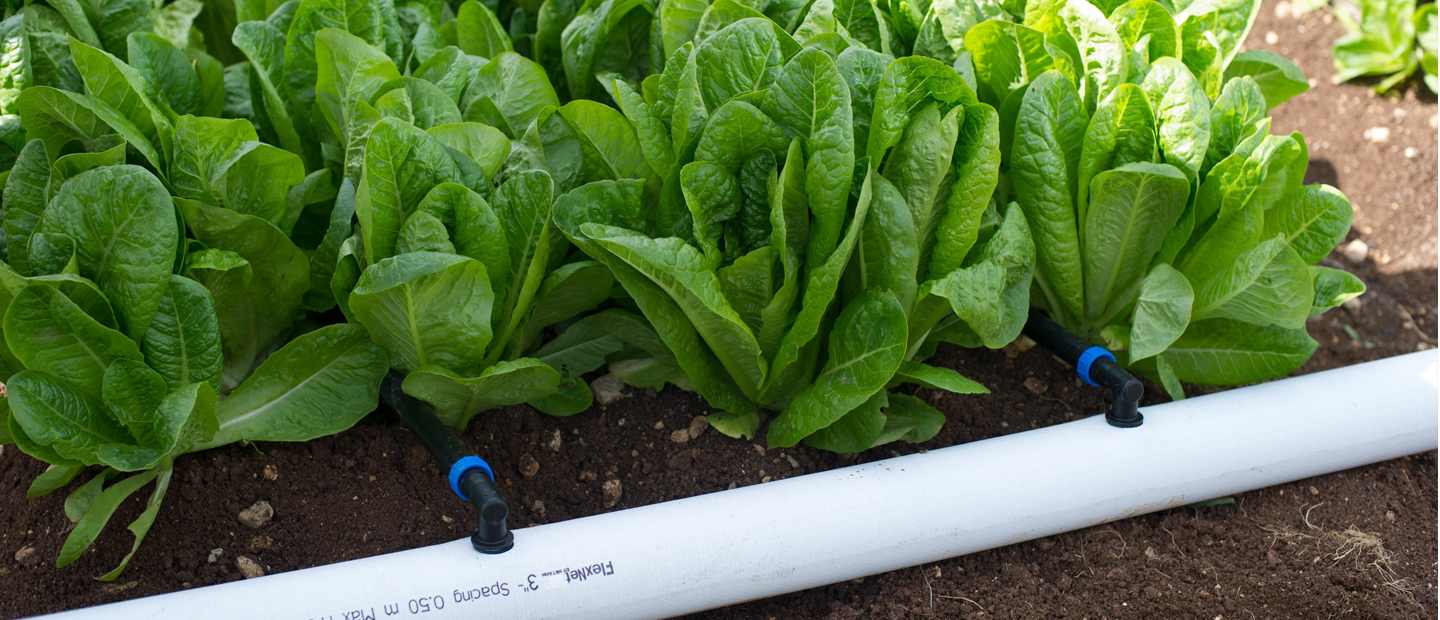 FlexNet™ Operating Manuals