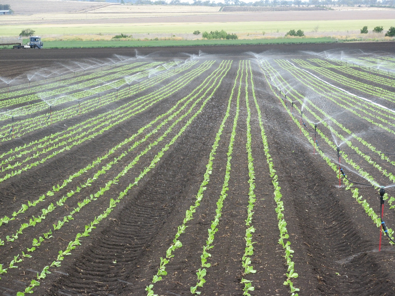 MegaNet™ 15D | Impact sprinkler | Netafim