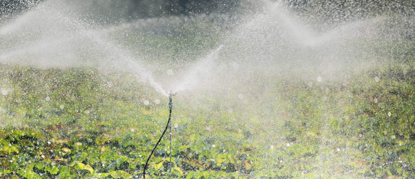 Sprinklers, Micro-sprinklers And Special Emitters | Netafim
